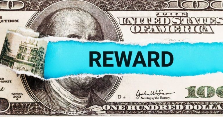 E-Rewards: O Que São e Como Aproveitar - Minha Company